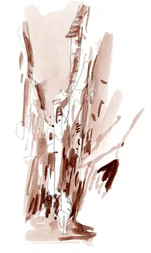 Cours de dessin en visio - Voir les couleurs en valeurs, un enjeu ...