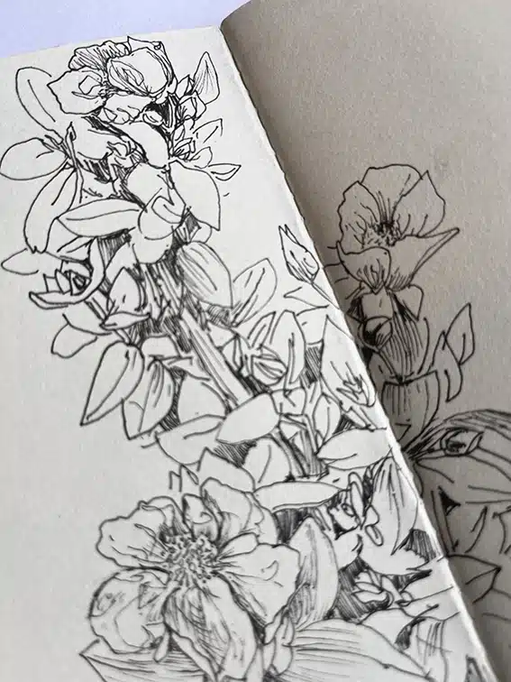 Cours de dessin en visio - L’étude documentaire d'un élément naturel ...